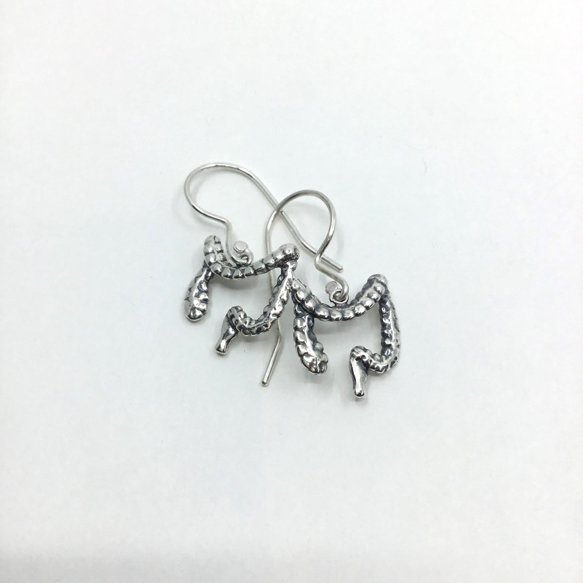 Large Intestine Earrings – Te Whare O Rehua Sarjeant Gallery