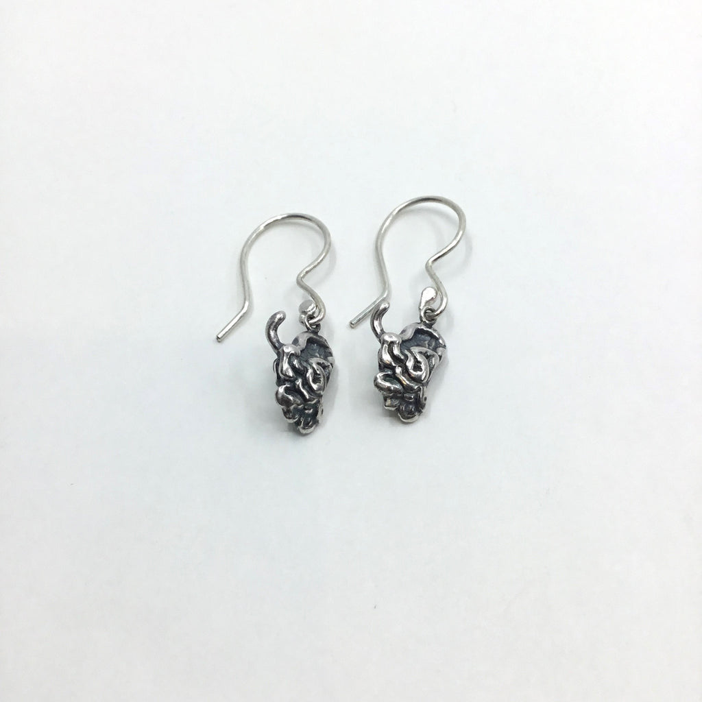 Small Intestine Earrings – Te Whare O Rehua Sarjeant Gallery